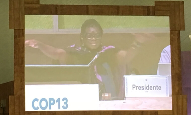 CBD-COP（生物多様性条約締約国会議） - IUCN日本委員会