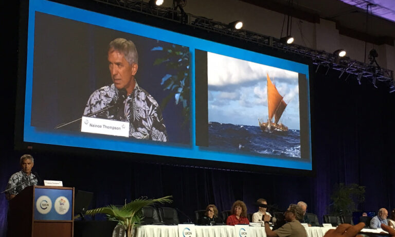 IUCN-WCC（国際自然保護連合（IUCN）第X回世界自然保護会議） - IUCN日本委員会