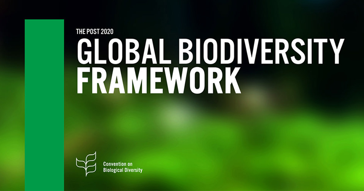 CBD-COP（生物多様性条約締約国会議） - IUCN日本委員会