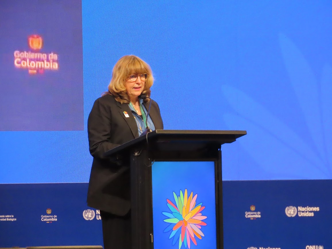 SBI5初日（10月16日）と、GBF実施状況 - IUCN日本委員会