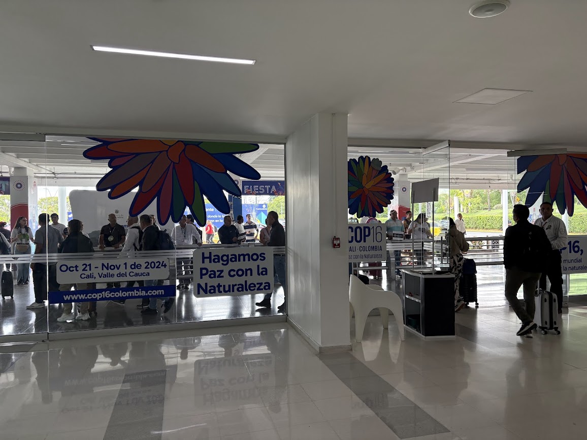 CBD SBI5・COP16への道のりと、現地の様子 - IUCN日本委員会